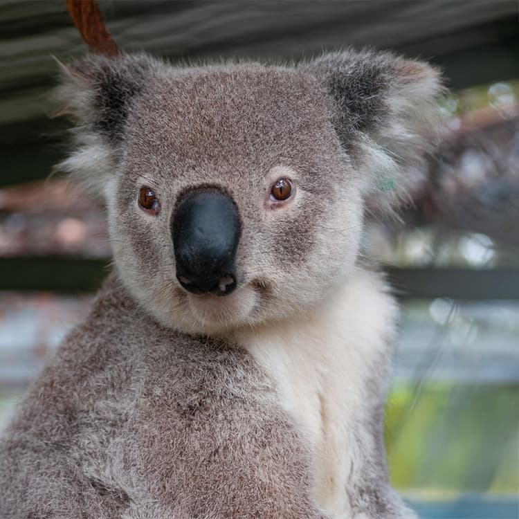 Interspeech 2026 - Interspeech 2026